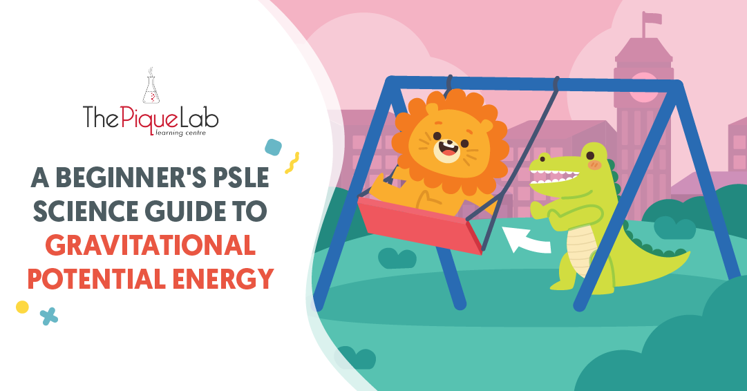 Energy Primary School Science Tuition The Smart Student Energy Primary School Science Tuition The Smart Student