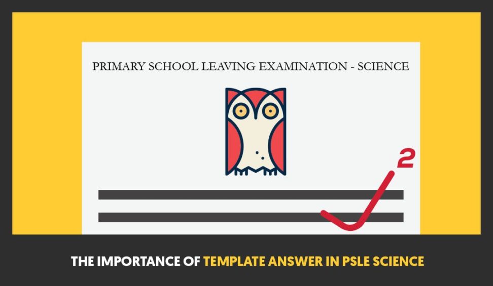 What Are Template Answers & Why Do They Matter?