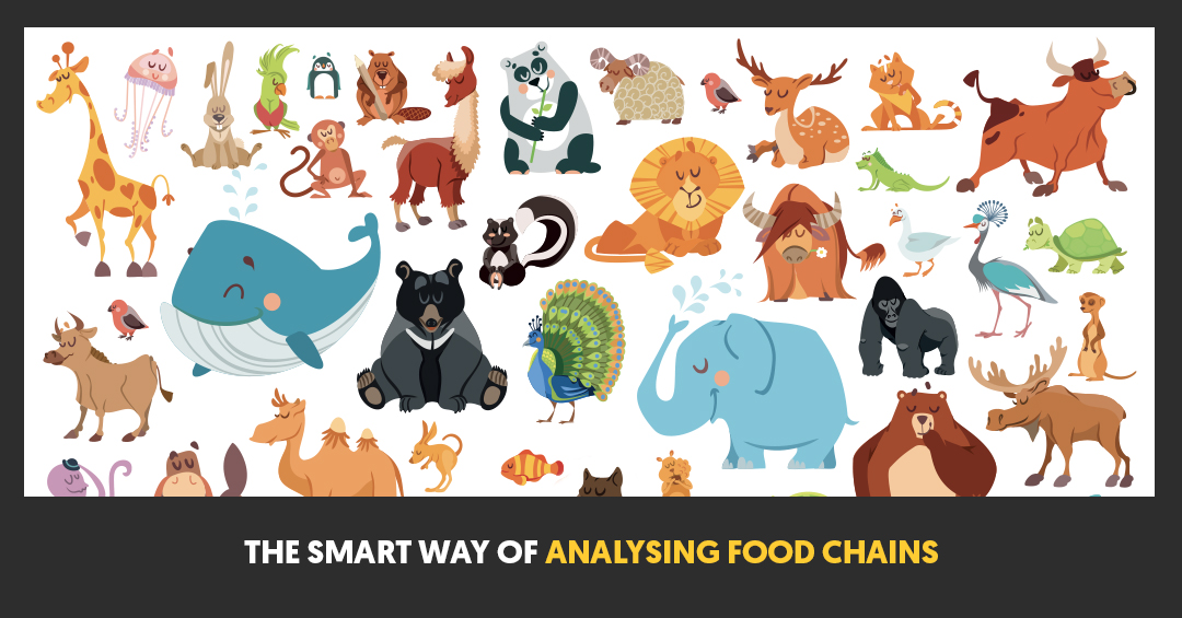 The Smart Way of Analysing Food Chains