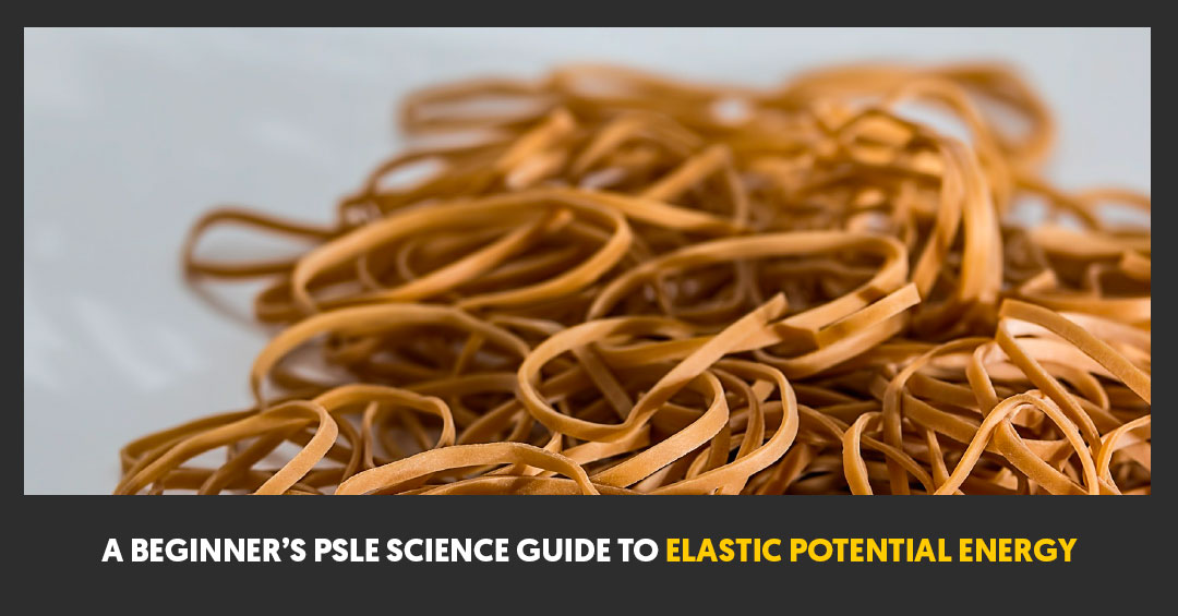 A Beginner's PSLE Science Guide To Elastic Potential Energy