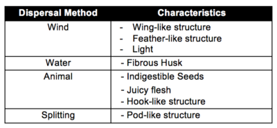 Mastering The 4 Seed Dispersal Methods In 4 Minutes - Primary School ...