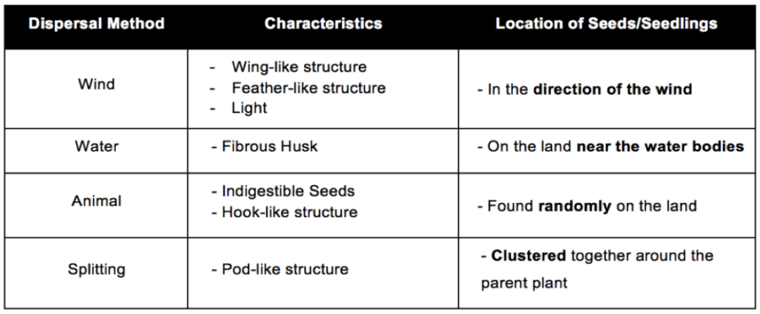 Mastering The 4 Seed Dispersal Methods In 4 Minutes - Primary School ...