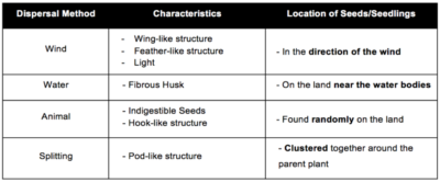 Mastering The 4 Seed Dispersal Methods In 4 Minutes - Primary School ...