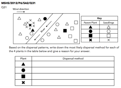 Mastering The 4 Seed Dispersal Methods In 4 Minutes - Primary School ...
