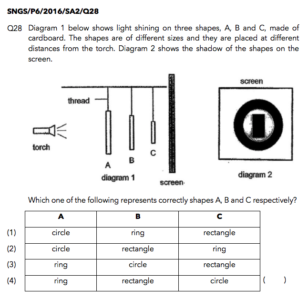 5 Quick & Easy Steps To Solve Complex Questions on Shadows - Primary ...