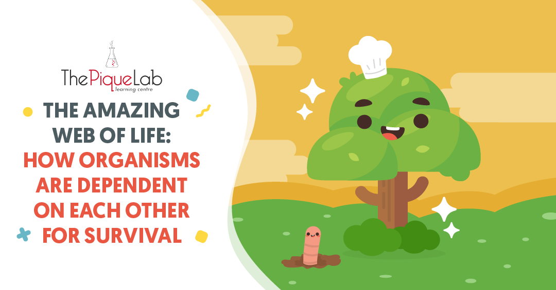 The Amazing Web of Life: How Organisms Are Dependent On Each Other For ...