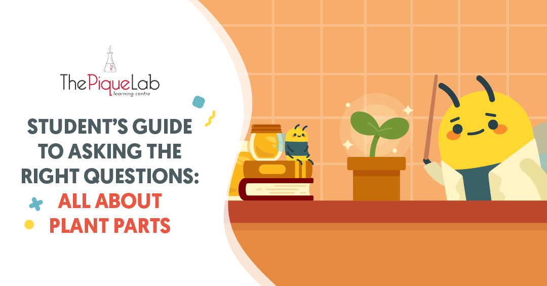 Student's Guide To Asking The Right Questions: All About Plant Parts ...