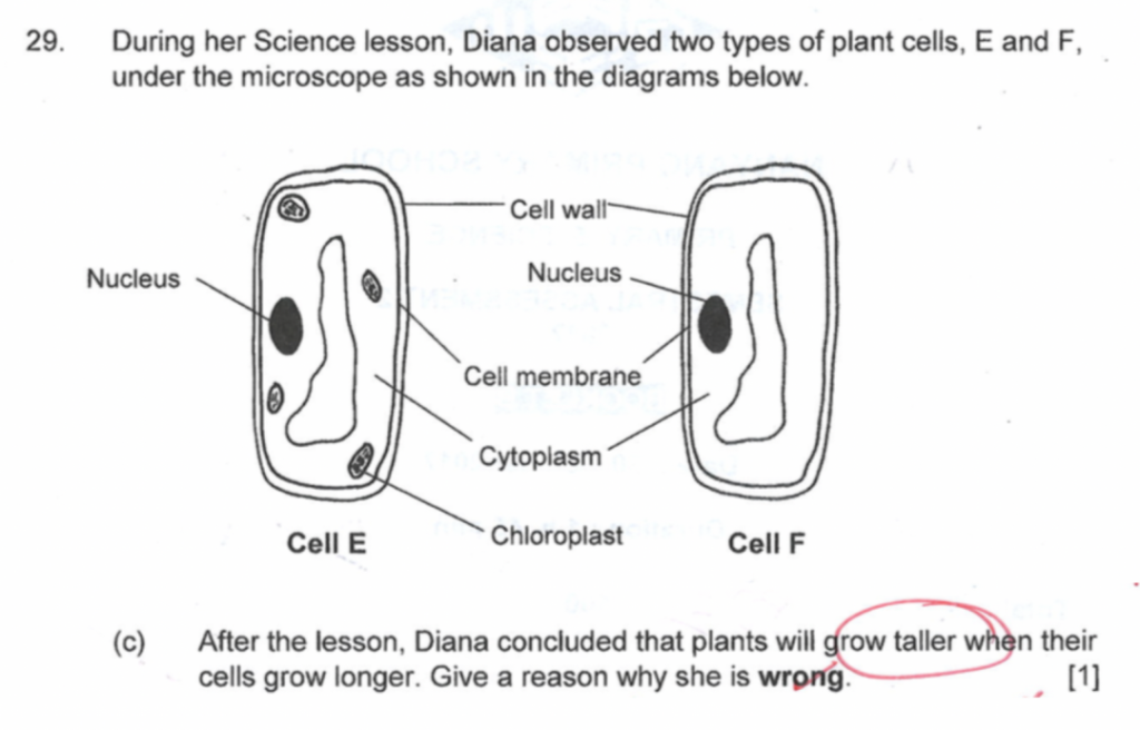 2017 Nanyang Primary School (NYPS) P5 SA2 Examination Paper Analysis ...