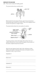 Pitcher Plant Adaptations: The Flesh-Eating Plant! - Primary School ...