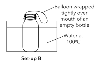 Integrating Matter with Body Systems: Movement of Air in Our Lungs ...