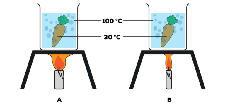 Cooking The Carrot An Application Question On Heat Energy Primary cooking-the-carrot-an-application-question-on-heat-energy-primary