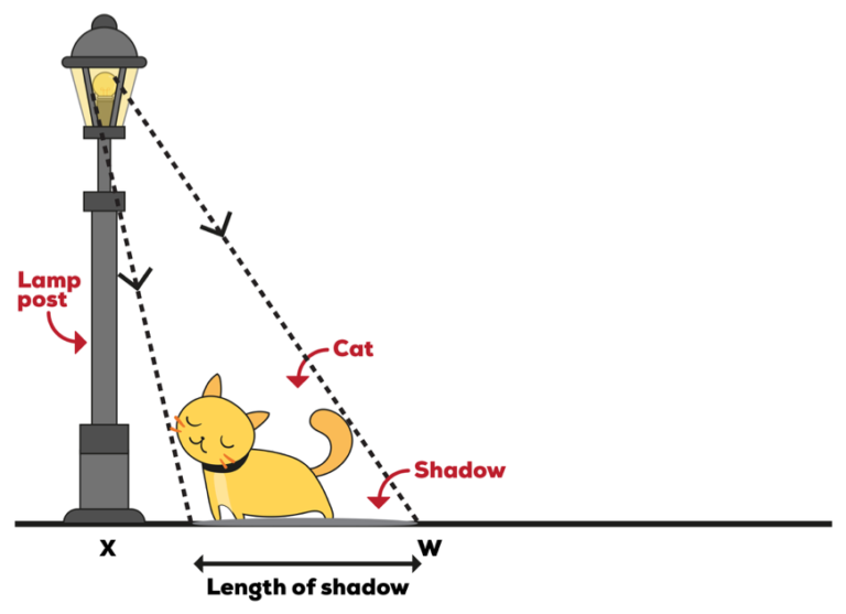 Light Energy: Why Does the Length of a Shadow Change? - Primary School ...