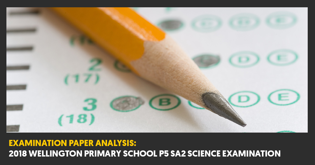 2018 Anderson Primary School (ADPS) P4 SA2 Examination Paper Analysis
