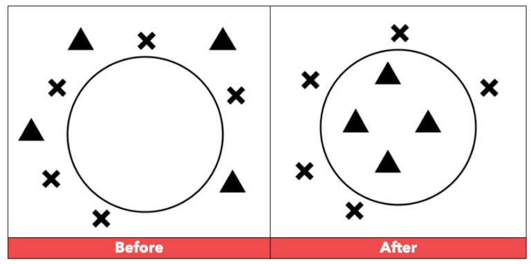 Cells: How Are Cell Parts Tested In Examinations?