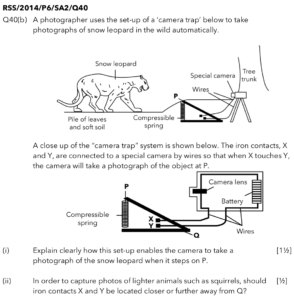 The Science Behind Camera Traps - Primary School Science Tuition - The ...