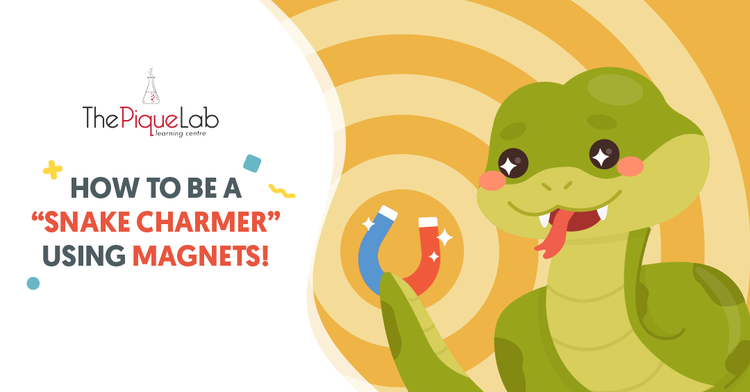 How to Be a "Snake Charmer" Using Magnets! - Primary School Science ...