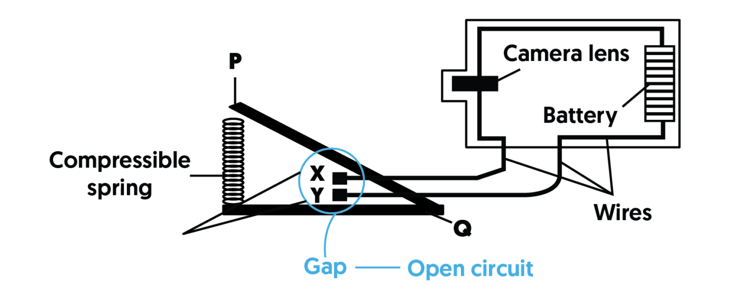 The Science Behind Camera Traps - Primary School Science Tuition - The ...