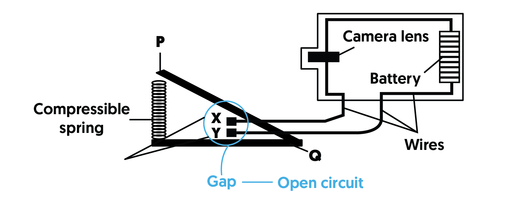 The Science Behind Camera Traps - Primary School Science Tuition - The ...