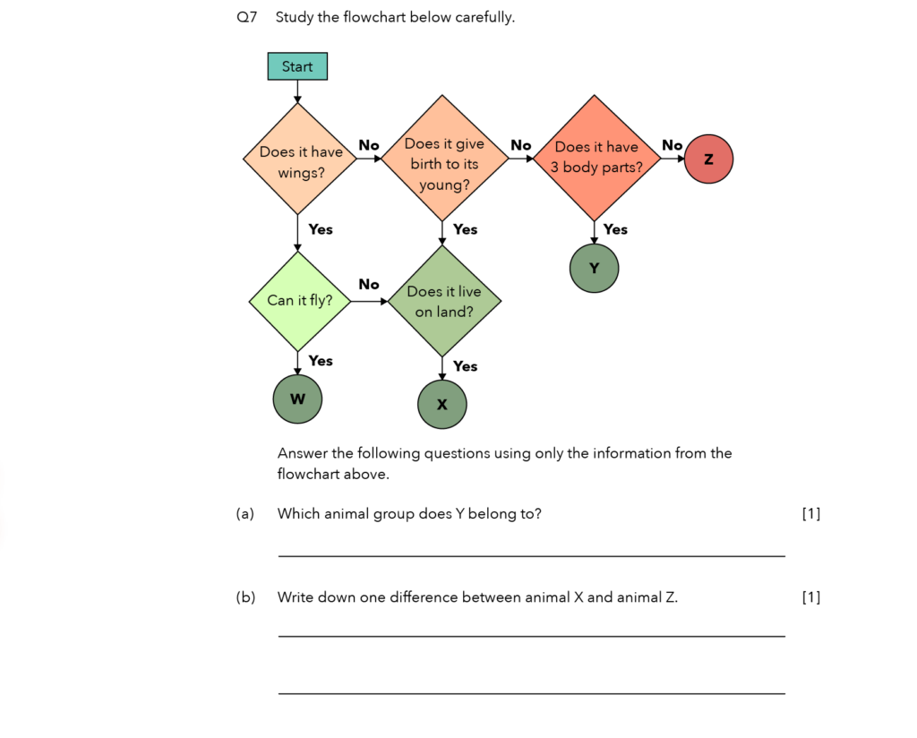 Rulang Primary School (RLPS) P3 SA1 Examination Paper Analysis ...
