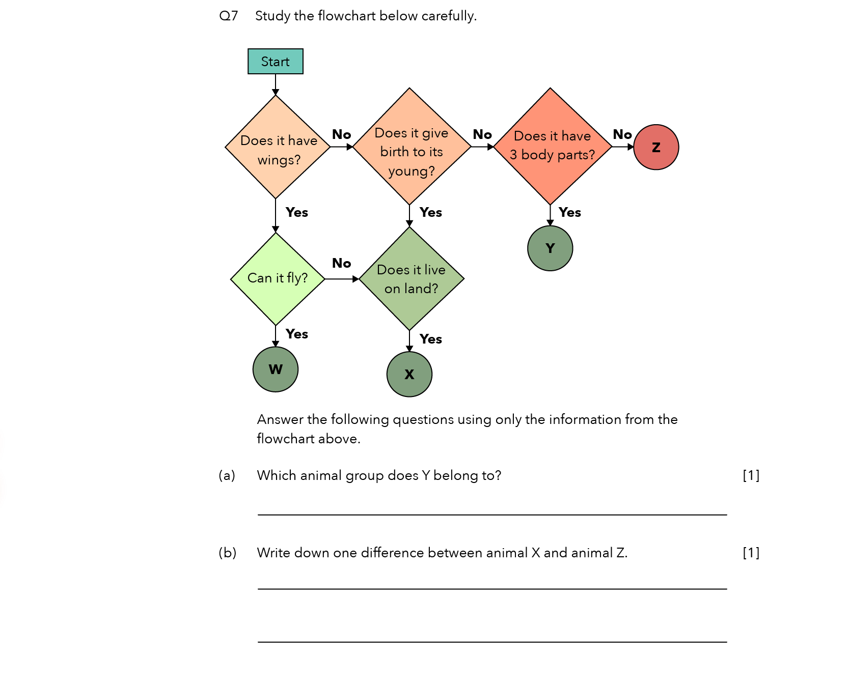 Rulang Primary School (RLPS) P3 SA1 Examination Paper Analysis ...