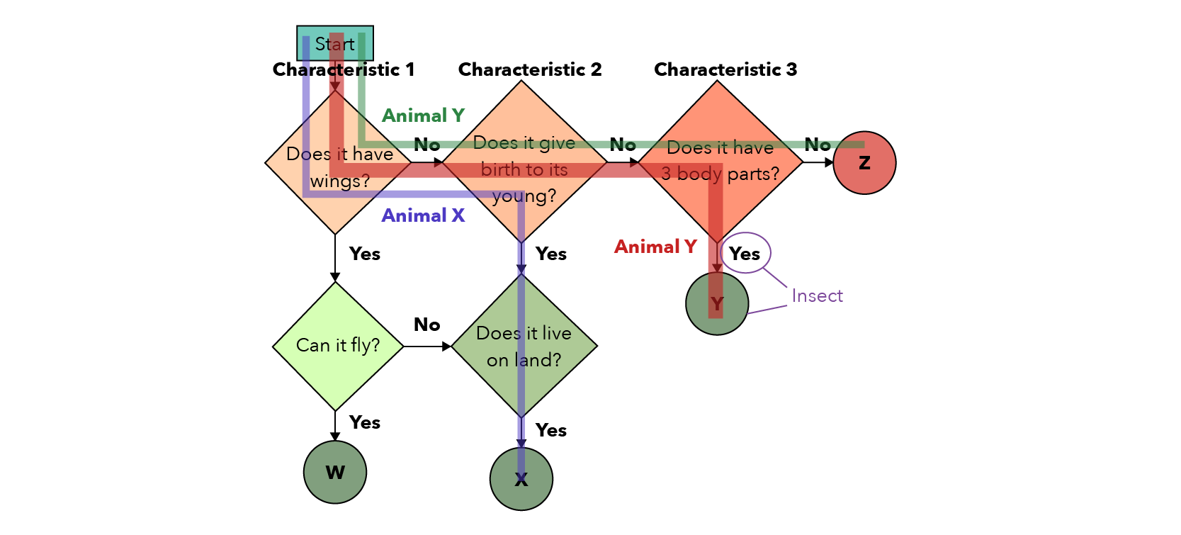 Rulang Primary School (RLPS) P3 SA1 Examination Paper Analysis ...