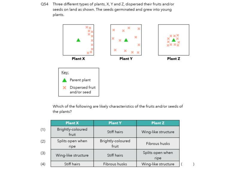 Anglo-Chinese School (Junior) (ACSJ) P6 SA1 Examination Paper Analysis ...