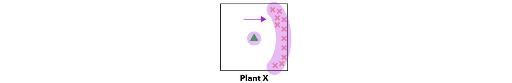 Anglo-Chinese School (Junior) (ACSJ) P6 SA1 Examination Paper Analysis ...