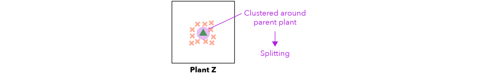 Anglo-Chinese School (Junior) (ACSJ) P6 SA1 Examination Paper Analysis ...