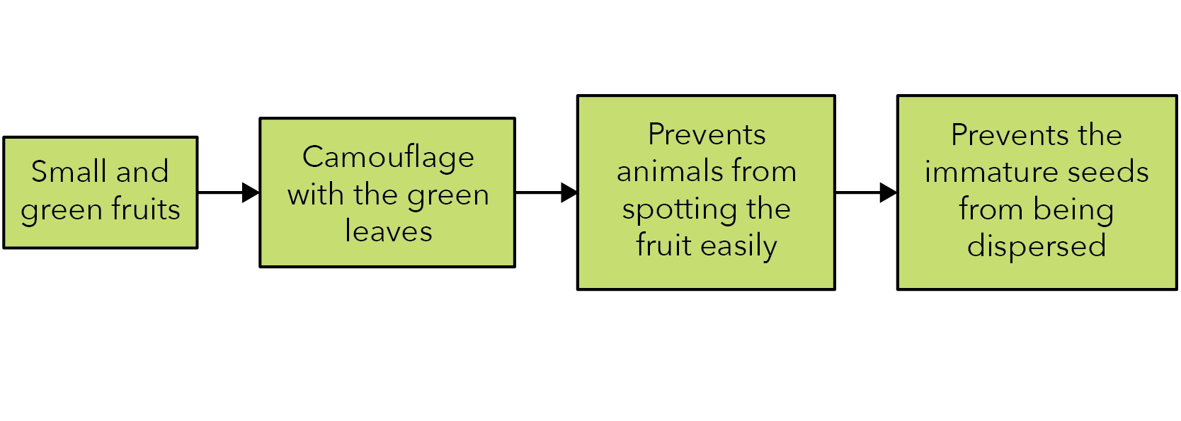 Adaptations: How Is A Flower Adapted For Reproduction? - Primary School ...