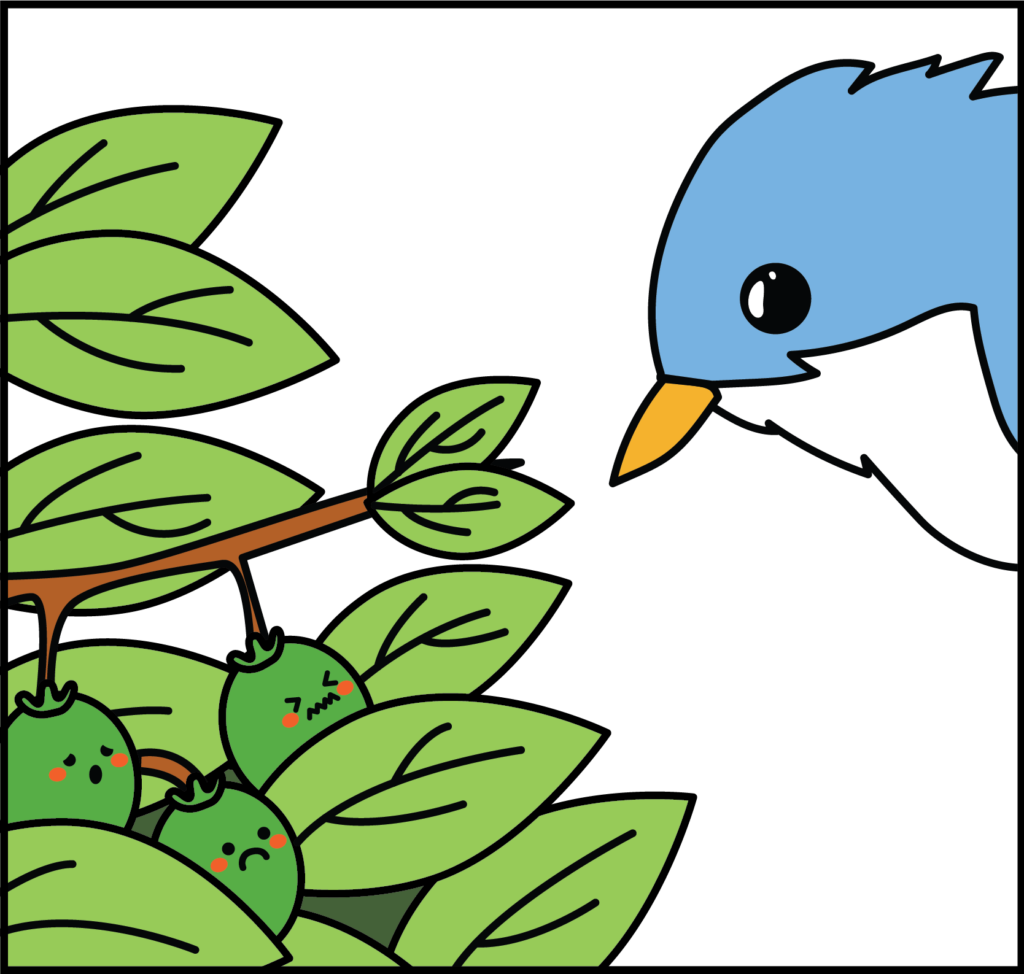 Adaptations: How Is A Flower Adapted For Reproduction? - Primary School ...