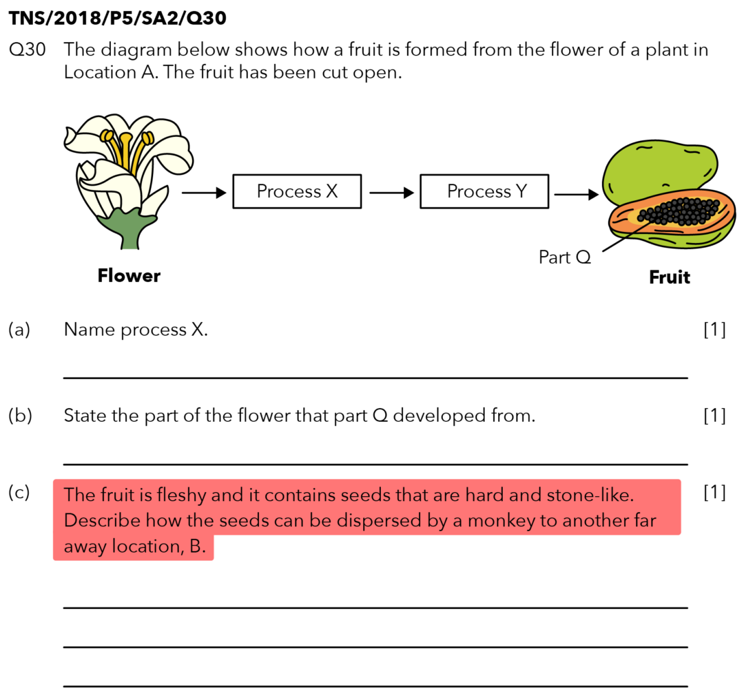 Plant Reproduction: Commonly Tested Questions About Papaya Plants ...