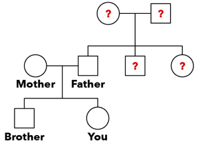 Reproduction: How Well Do You Know Your Family Tree? - Primary School ...