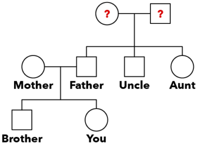 Reproduction: How Well Do You Know Your Family Tree? - Primary School ...