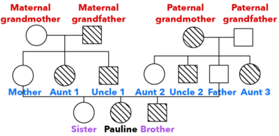 Reproduction: How Well Do You Know Your Family Tree? - Primary School ...
