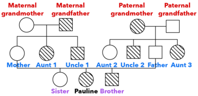Reproduction: How Well Do You Know Your Family Tree? - Primary School ...