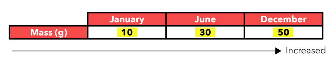 Maris Stella High School (MSHS) P3 SA1 Examination Paper Analysis ...