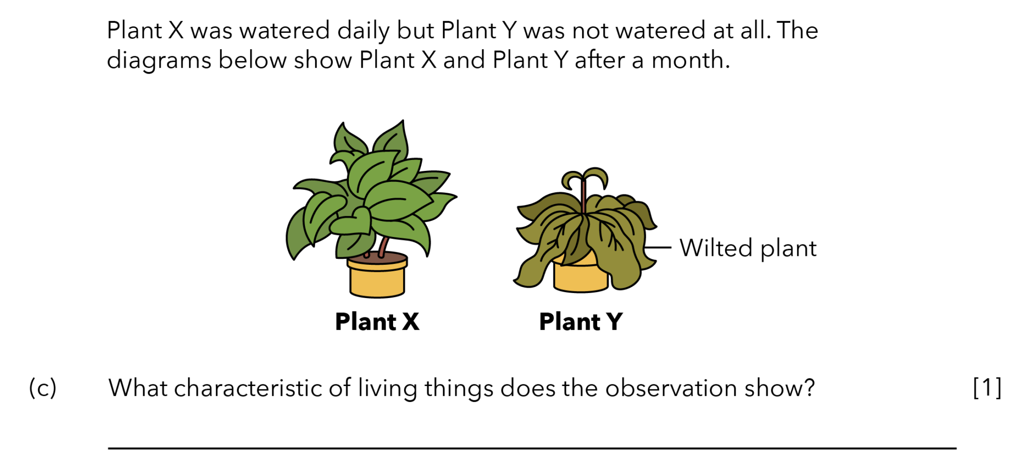 Maris Stella High School (MSHS) P3 SA1 Examination Paper Analysis ...