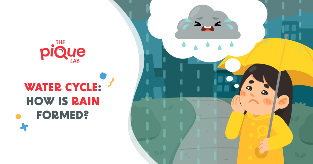 Water Cycle: How Is Rain Formed? - Primary School Science Tuition - The ...