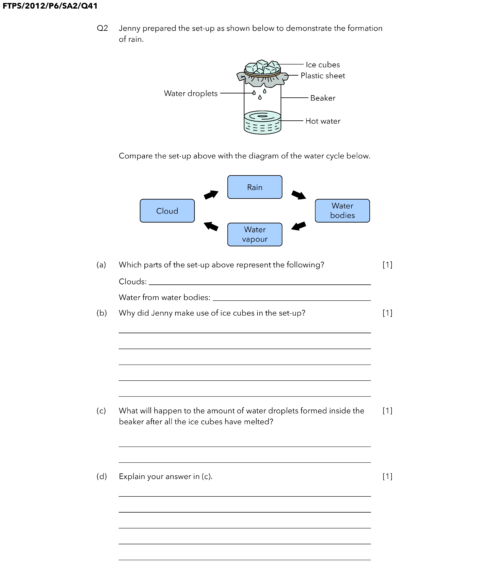Water Cycle: How Is Rain Formed? - Primary School Science Tuition - The ...