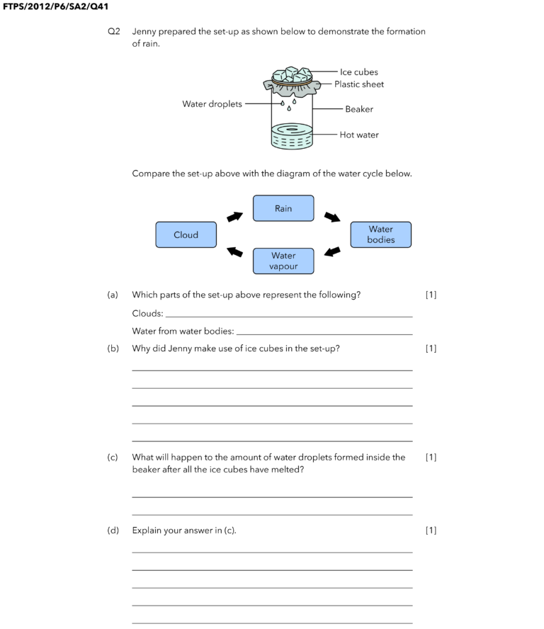 Water Cycle: How Is Rain Formed? - Primary School Science Tuition - The ...