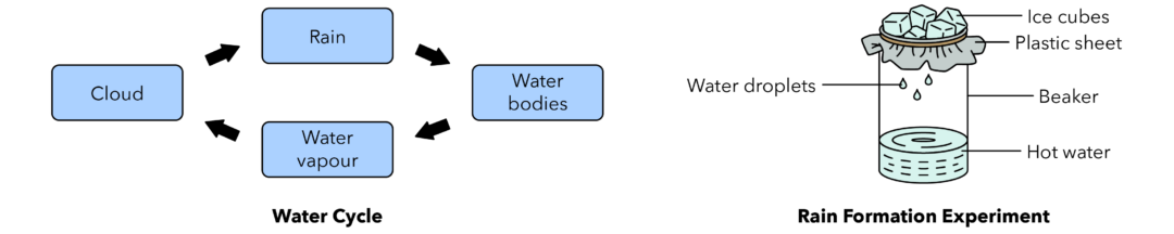 Water Cycle: How Is Rain Formed? - Primary School Science Tuition - The ...