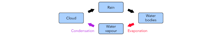 Water Cycle: How Is Rain Formed? - Primary School Science Tuition - The ...