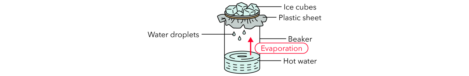 Water Cycle: How Is Rain Formed? - Primary School Science Tuition - The ...