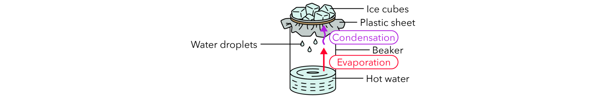 Water Cycle: How Is Rain Formed? - Primary School Science Tuition - The ...