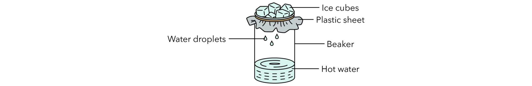 Water Cycle: How Is Rain Formed? - Primary School Science Tuition - The ...