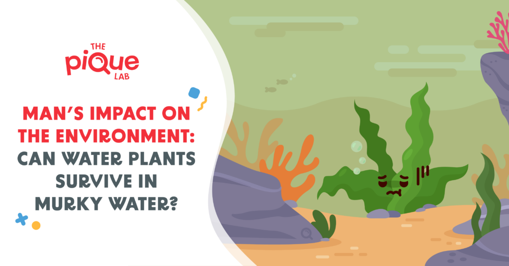 Man’s Impact on the Environment: Can Water Plants Survive In Murky ...