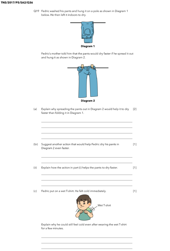 2017 Tao Nan School (TNS) P5 SA2 Examination Paper Analysis - Primary ...