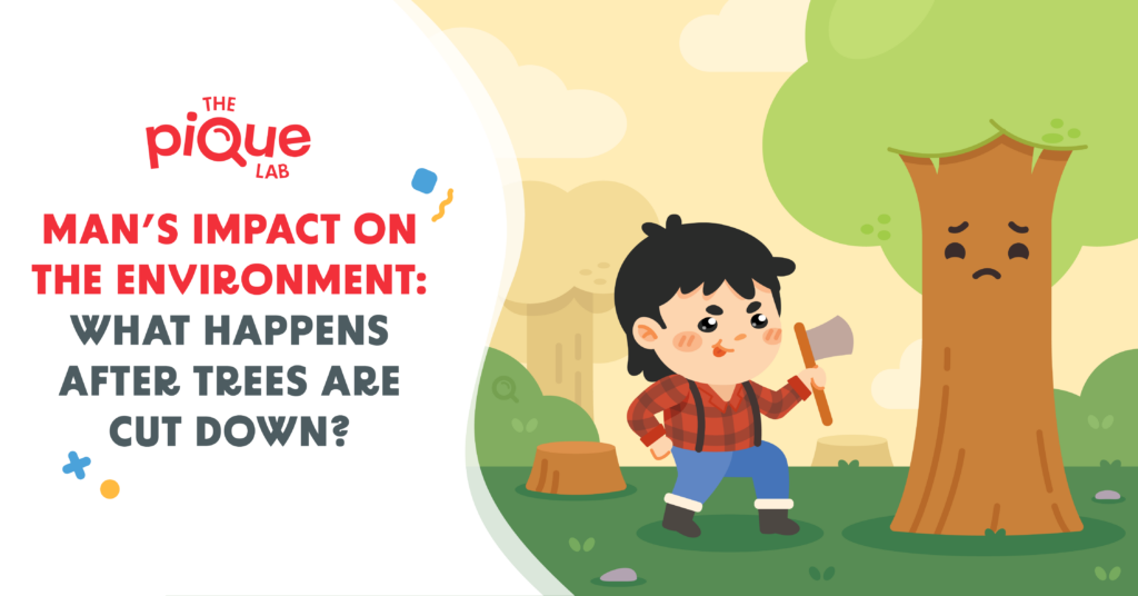 Man’s Impact on the Environment: What Happens After Trees Are Cut Down ...