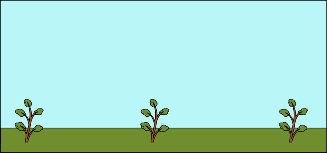 Man’s Impact on the Environment: What Happens After Trees Are Cut Down ...