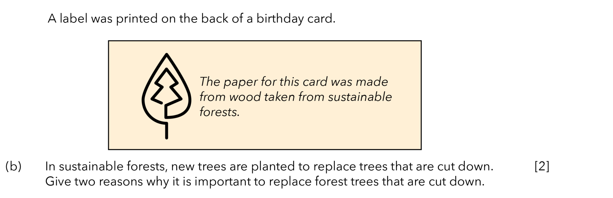 Man’s Impact on the Environment: What Happens After Trees Are Cut Down ...